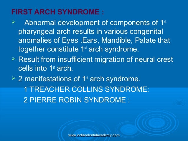 1st arch syndromes /prosthodontic courses