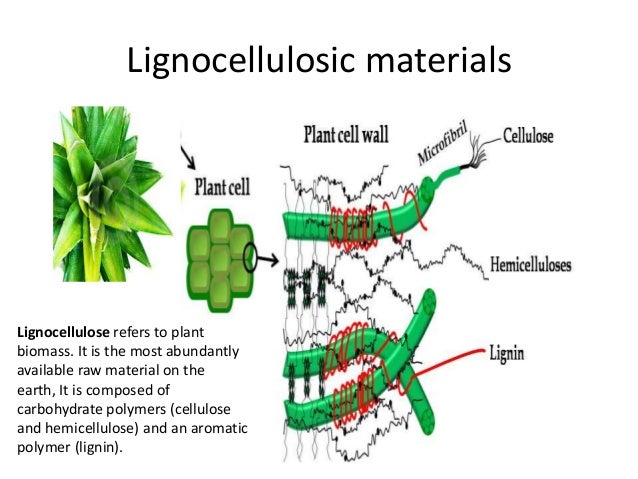 1st assessment ph d 30 dec dr zaharah