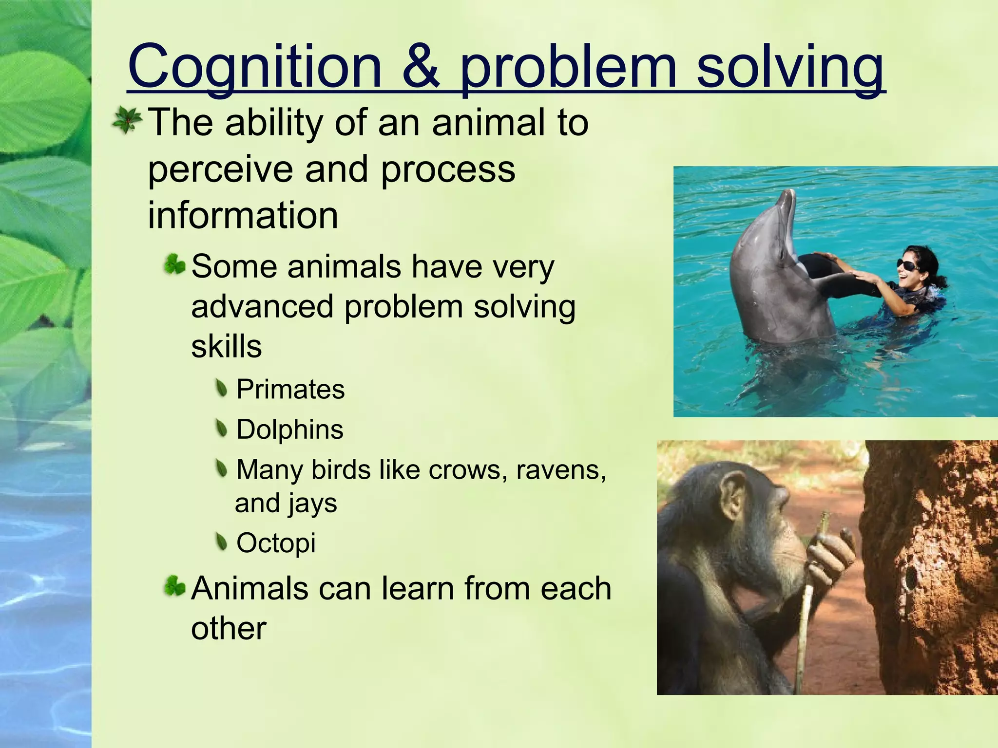 AP Biology behavioral ecology | PPT