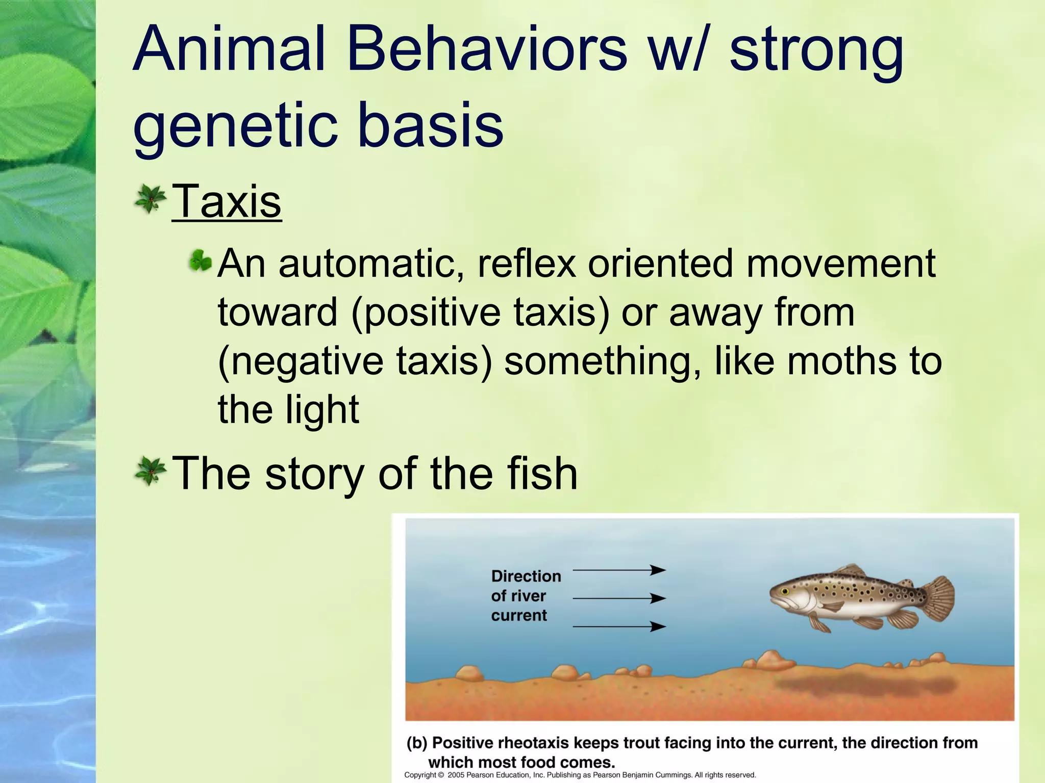 AP Biology behavioral ecology | PPT
