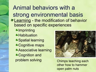 AP Biology behavioral ecology | PPT