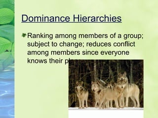 AP Biology behavioral ecology | PPT