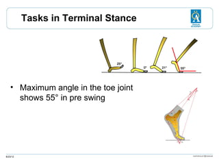 Basic Prosthetics I | PPT