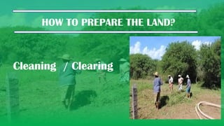 FIRST COMPETENCY LAND PREPARATION (thorough ).pptx