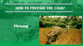FIRST COMPETENCY LAND PREPARATION (thorough ).pptx