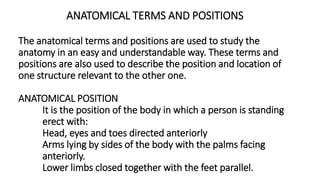 1st definition and position .pptx