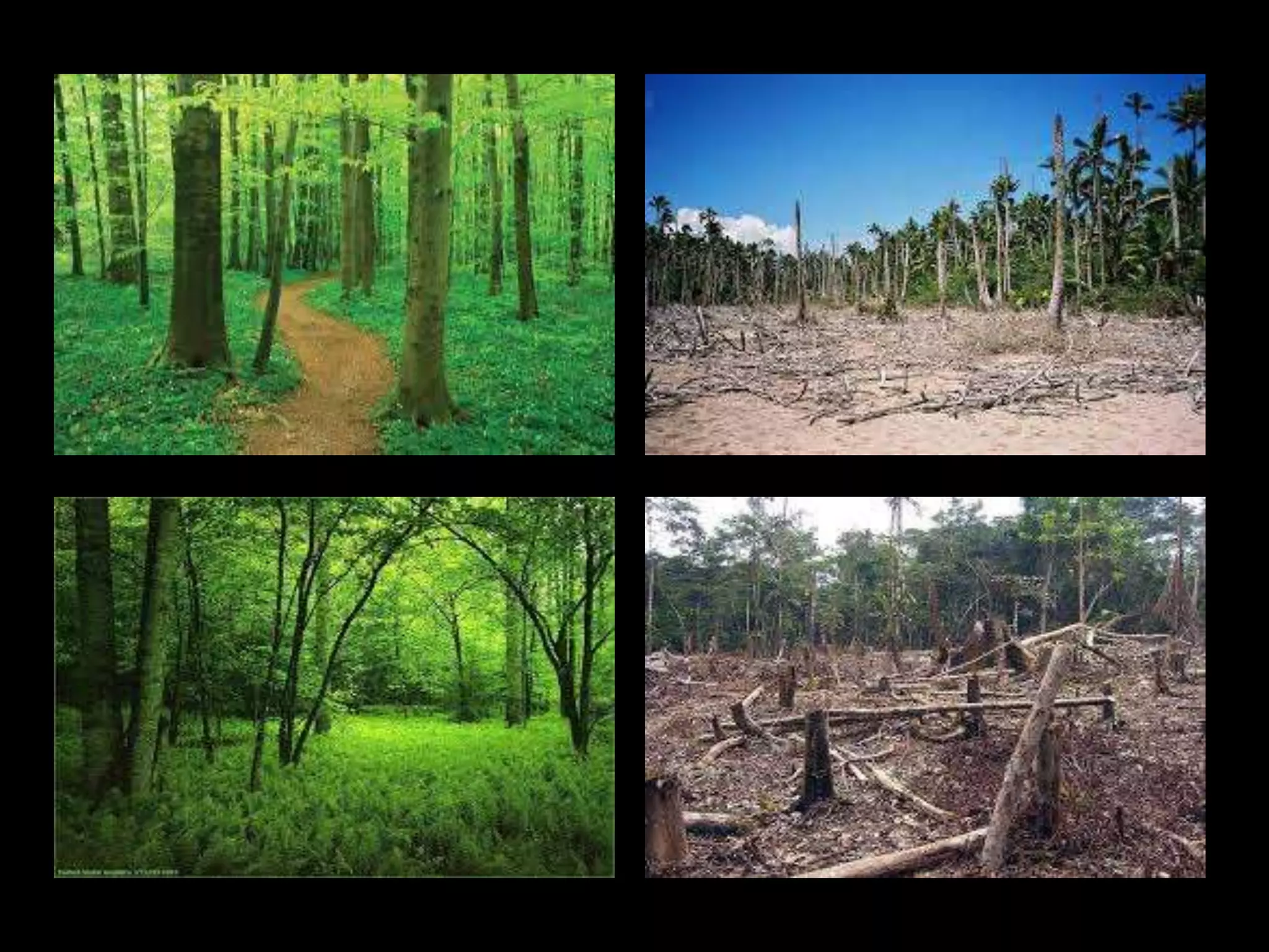 Filipino 9 Gramatika: Pandiwang nasa Panaganong Paturol | PPTX