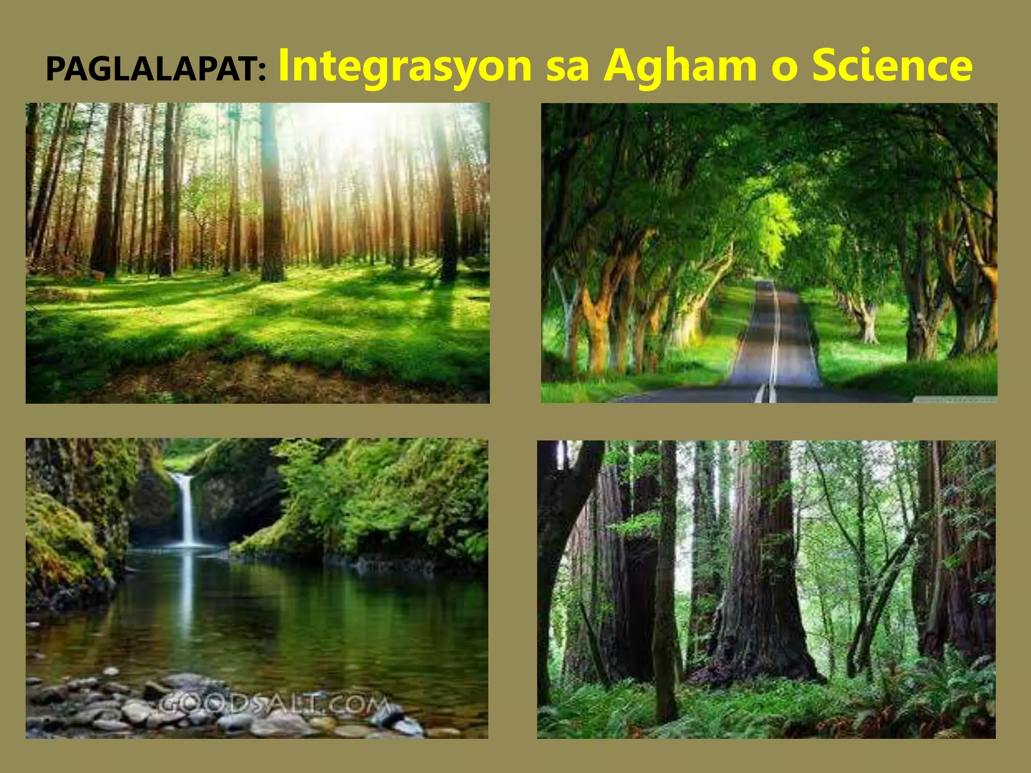 Filipino 9 Gramatika: Pandiwang nasa Panaganong Paturol | PPTX