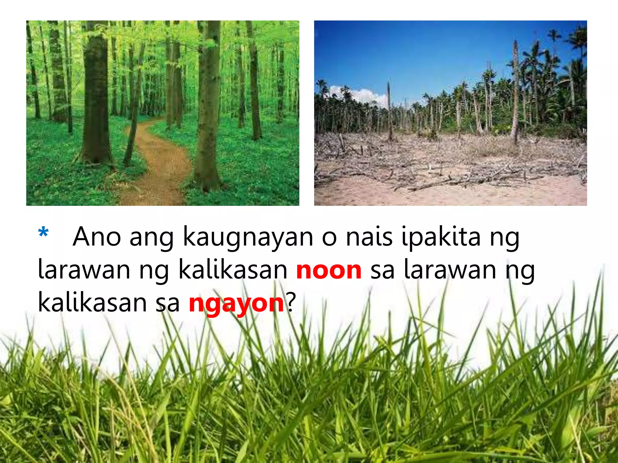 Filipino 9 Gramatika: Pandiwang nasa Panaganong Paturol | PPTX