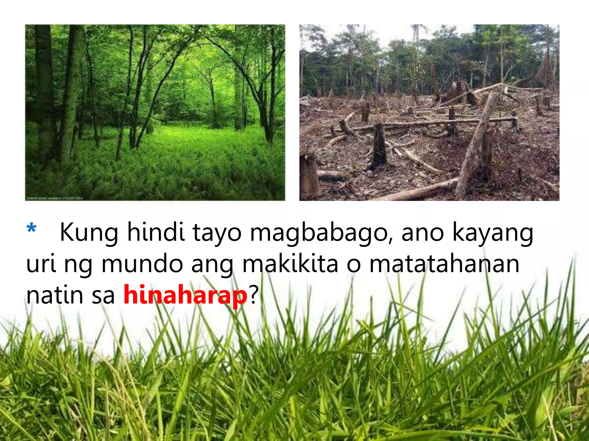 Filipino 9 Gramatika: Pandiwang nasa Panaganong Paturol | PPTX