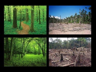 Filipino 9 Gramatika: Pandiwang nasa Panaganong Paturol | PPTX