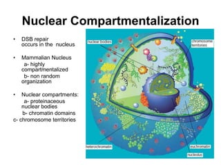 Msc Thesis seminar | PPT