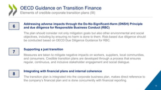 1st FGD OECD Guidance on Transition Finance - Elia Trippel & Valentina ...