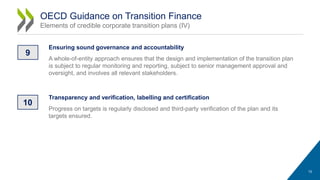 1st FGD OECD Guidance on Transition Finance - Elia Trippel & Valentina ...