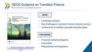 1st FGD OECD Guidance on Transition Finance - Elia Trippel & Valentina ...