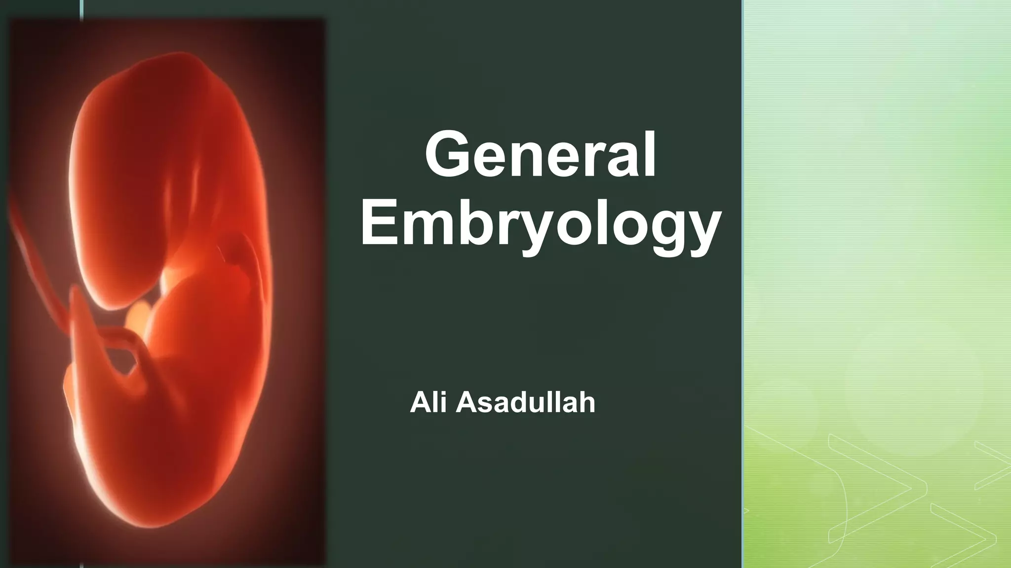General Embryology Introduction By Ali Asadullah | PDF | Pregnancy | Reproductive Health
