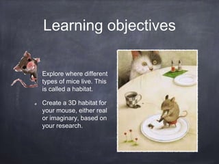 1st grade mice habitat | PPTX