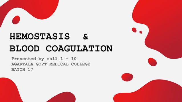 Hemostasis & Blood Coagulation - Abir Debnath, Batch 17 AGMC.pptx