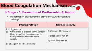 Hemostasis & Blood Coagulation - Abir Debnath, Batch 17 AGMC.pptx