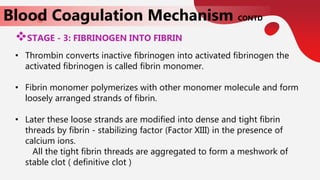 Hemostasis & Blood Coagulation - Abir Debnath, Batch 17 AGMC.pptx
