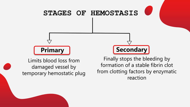 Hemostasis & Blood Coagulation - Abir Debnath, Batch 17 AGMC.pptx