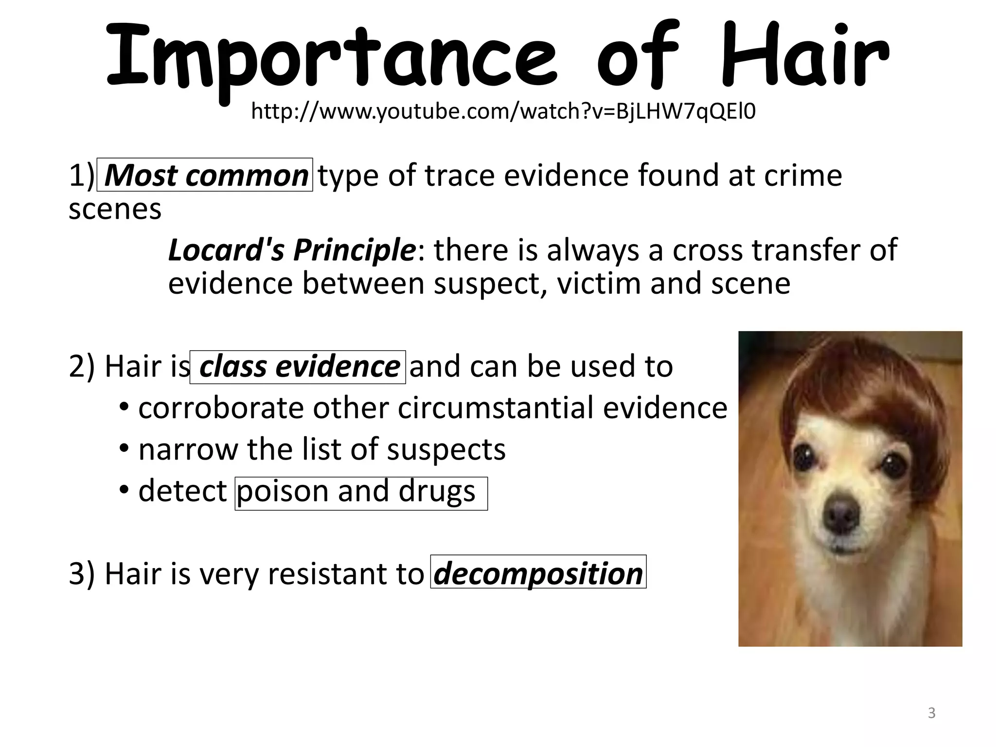 1st hair notes teacher | PPTX