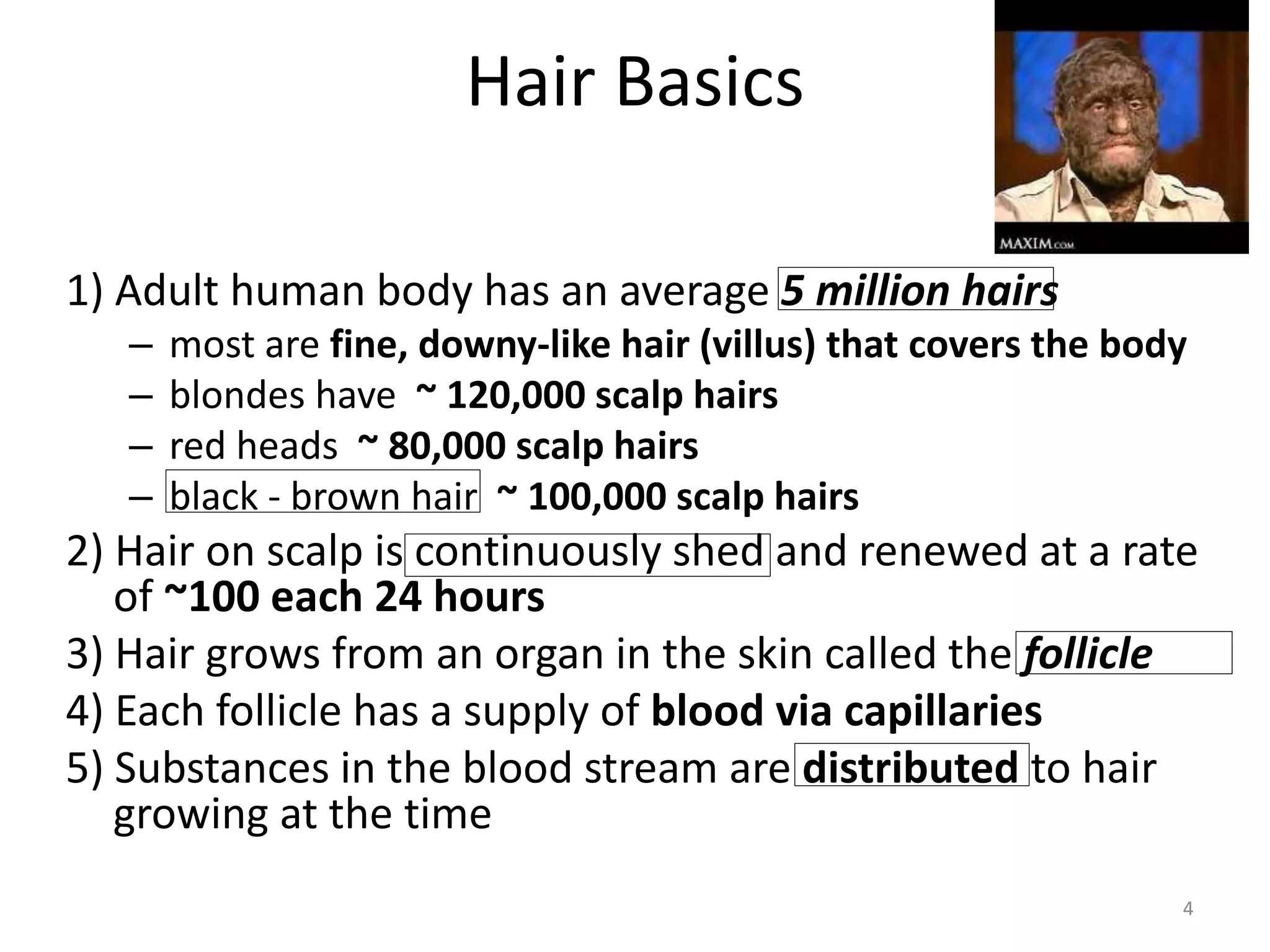 1st hair notes teacher | PPTX