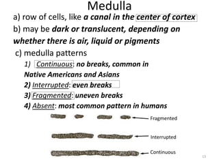 1st hair notes teacher | PPTX