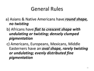 1st hair notes teacher | PPTX