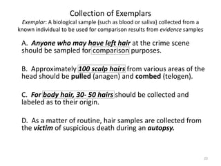 1st hair notes teacher | PPTX