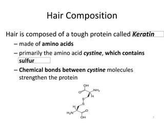 1st hair notes teacher | PPTX