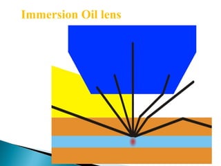 1st lab basics of laboratory safety | PPT | Chemistry | Science