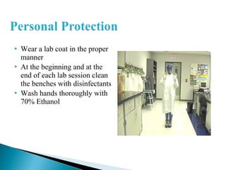 1st lab basics of laboratory safety | PPT | Chemistry | Science