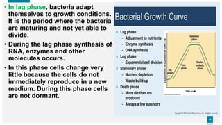 1st lec microbiology Dentistry-- .Dr.Olfet.pptx