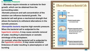 1st lec microbiology Dentistry-- .Dr.Olfet.pptx