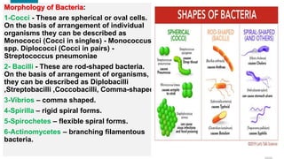 1st lec microbiology Dentistry-- .Dr.Olfet.pptx