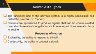 Types of communication | PPT