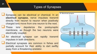 Types of communication | PPT