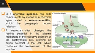 Types of communication | PPT