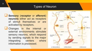Types of communication | PPT
