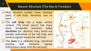 Types of communication | PPT