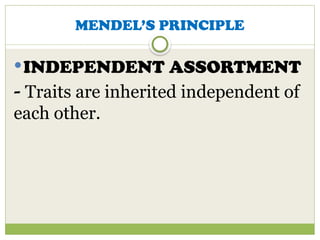 INTRODUCTION TO GENETICS.pptx GREGOR MENDEL | PPT