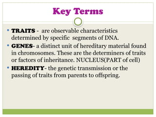 INTRODUCTION TO GENETICS.pptx GREGOR MENDEL | PPT