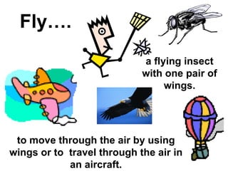 1st Multiple Meanings | PPT