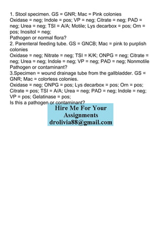 1 Stool specimen GS GNR Mac Pink colonies Oxidase .pdf