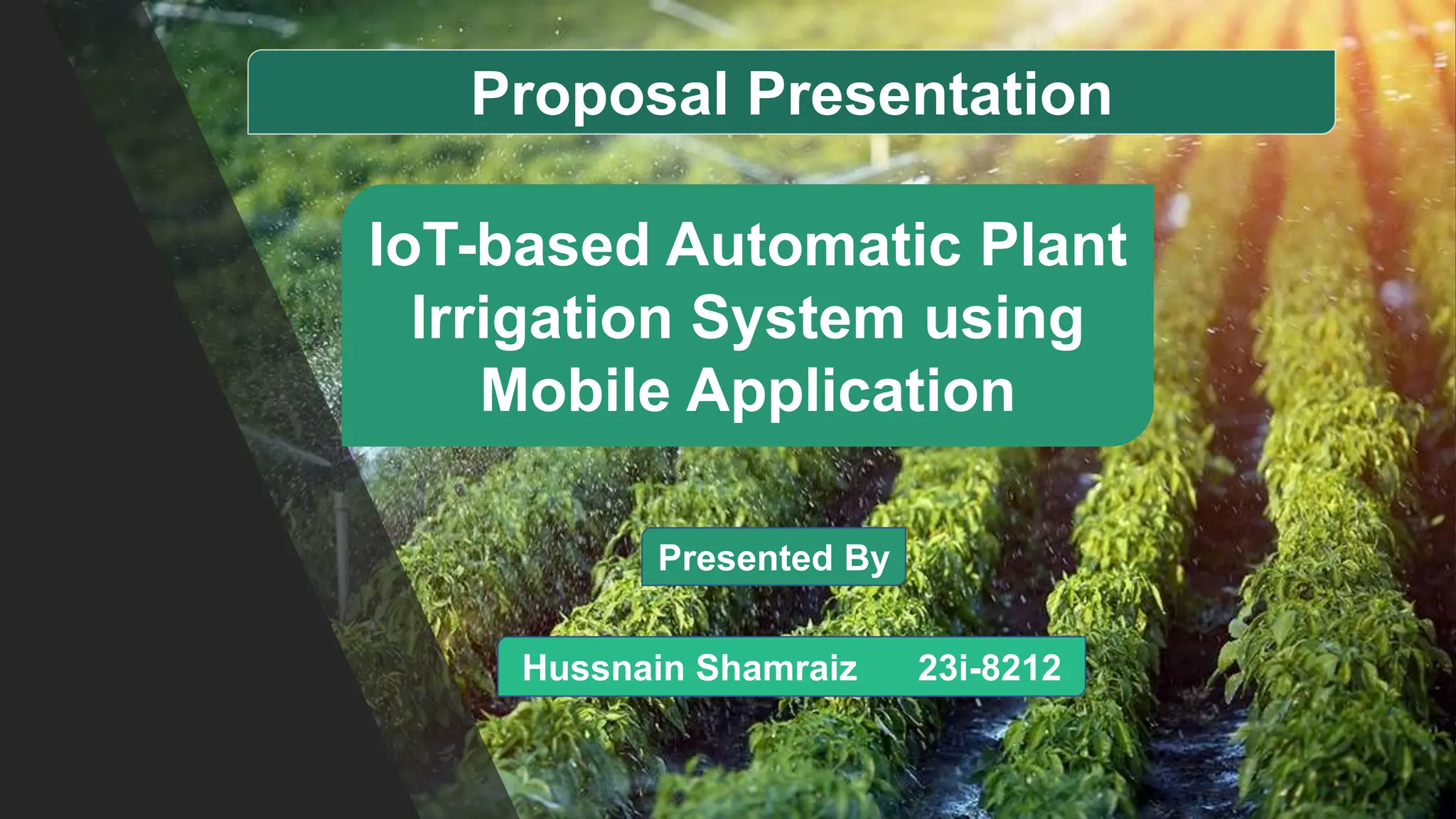 1st parposal presentation.pptx