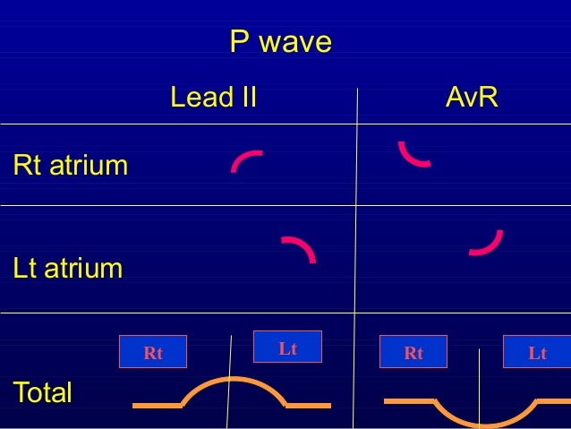 1st part ecg basics indroduction and p waves