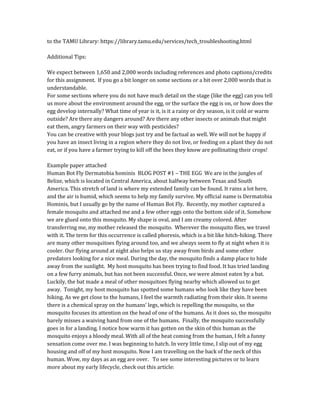 1st Person Bug Paper.pdf