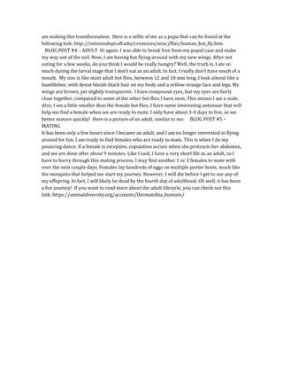 1st Person Bug Paper.pdf