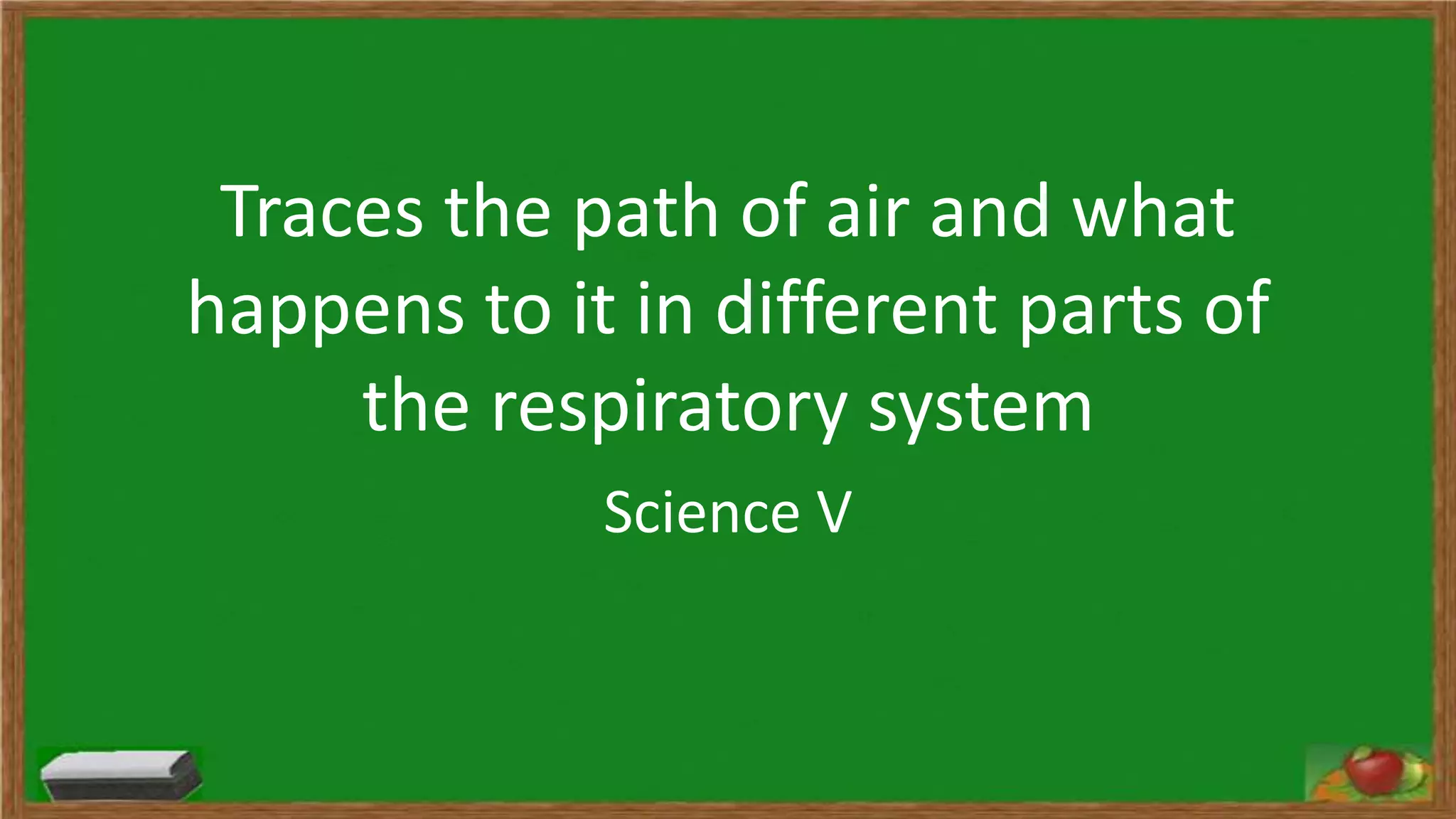 1st science 14 traces the path of air and what happens | PPTX